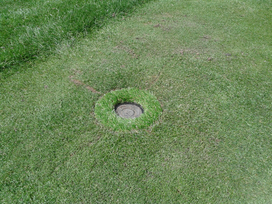 Grasscalm | round turf lock - Grasscalm