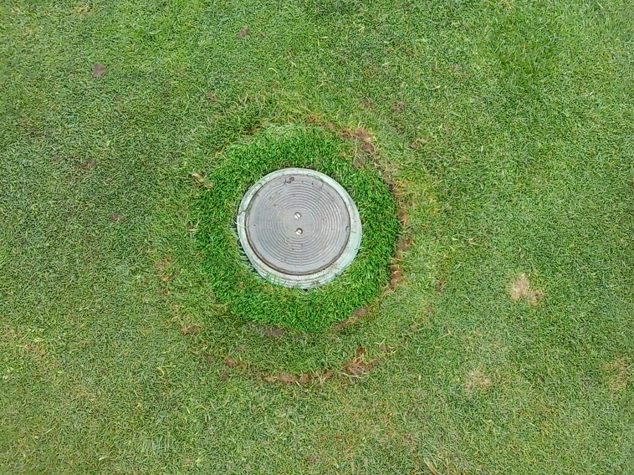 Grasscalm | round turf lock - Grasscalm